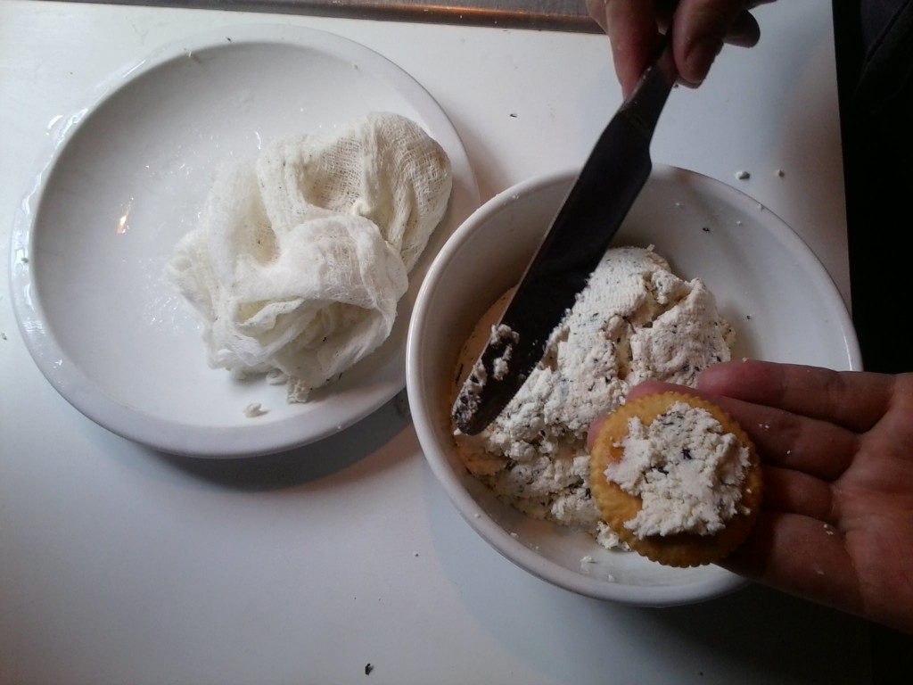 Fresh Farm Cheese in 4 Easy Steps | Ready Nutrition