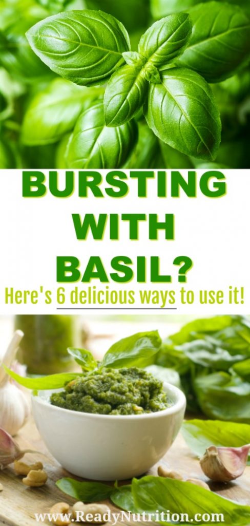 Bursting With Basil? Here's How to Use It | Ready Nutrition