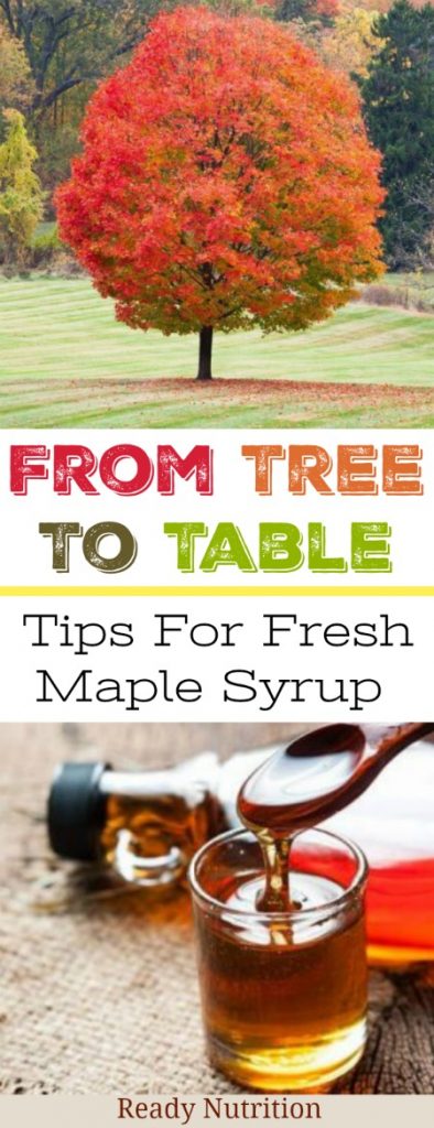 From Tree To Table: Tips For Fresh Maple Syrup | Ready Nutrition