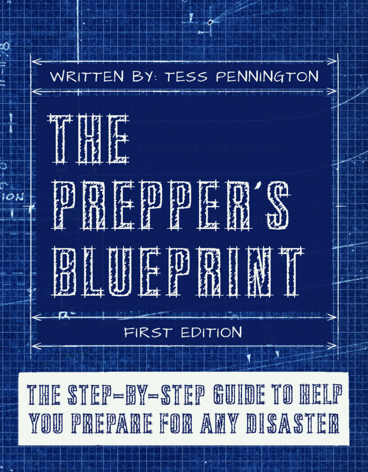 The Prepper's Blueprint: The Step-By-Step Guide To Help You Through Any ...