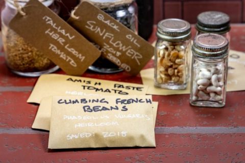 How To Make Your Own Seed Bank | Ready Nutrition